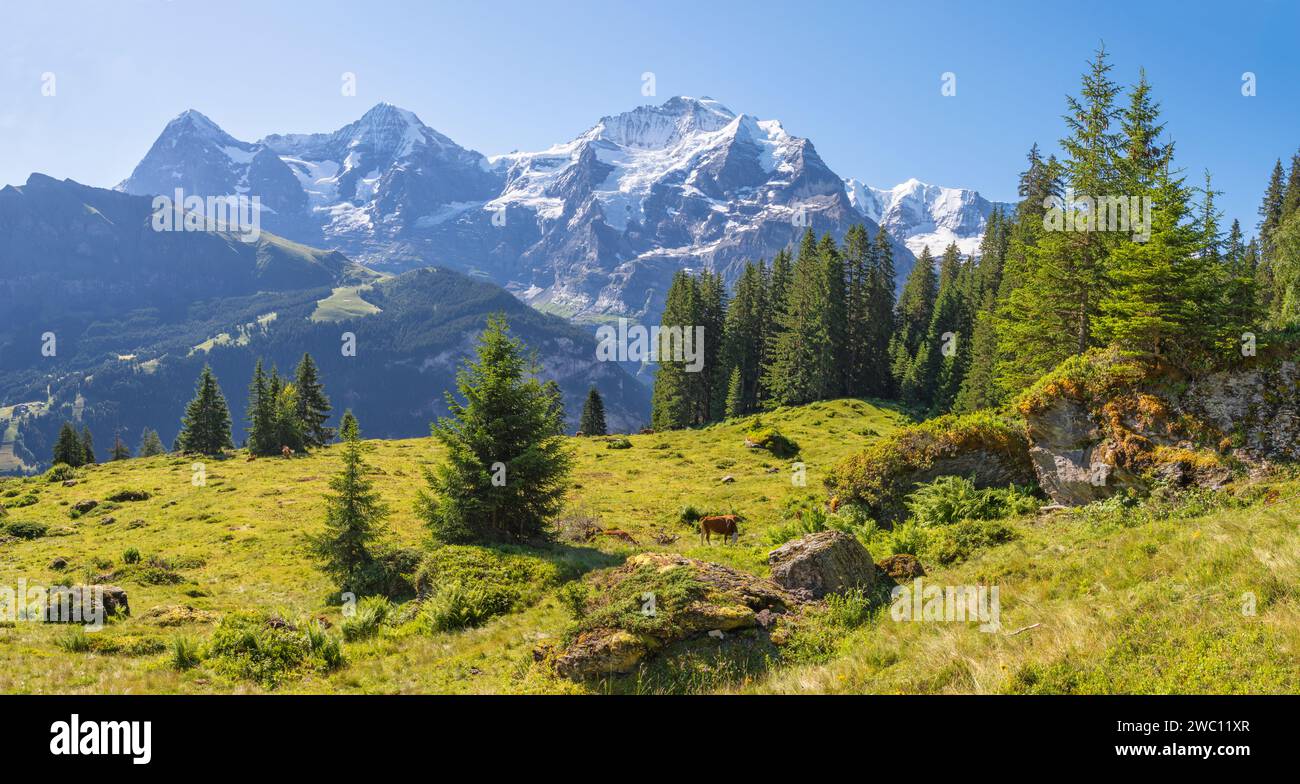 The panorma of Bernese alps with the Jungfrau, Monch and Eiger peaks ...