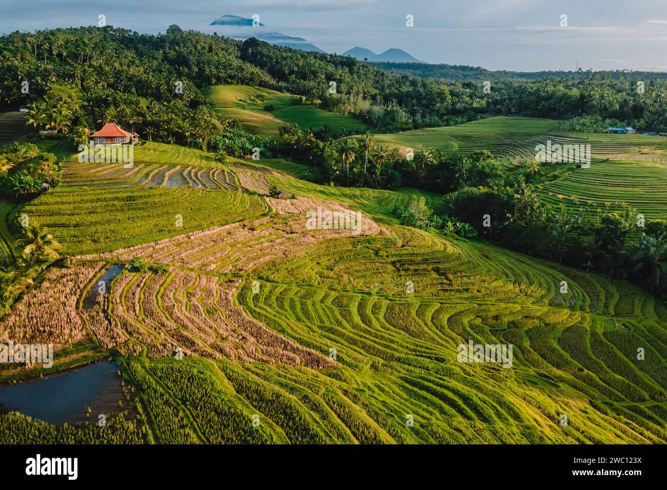 Aerial view of landscape with rice terraces, sunrise tones and shadows ...
