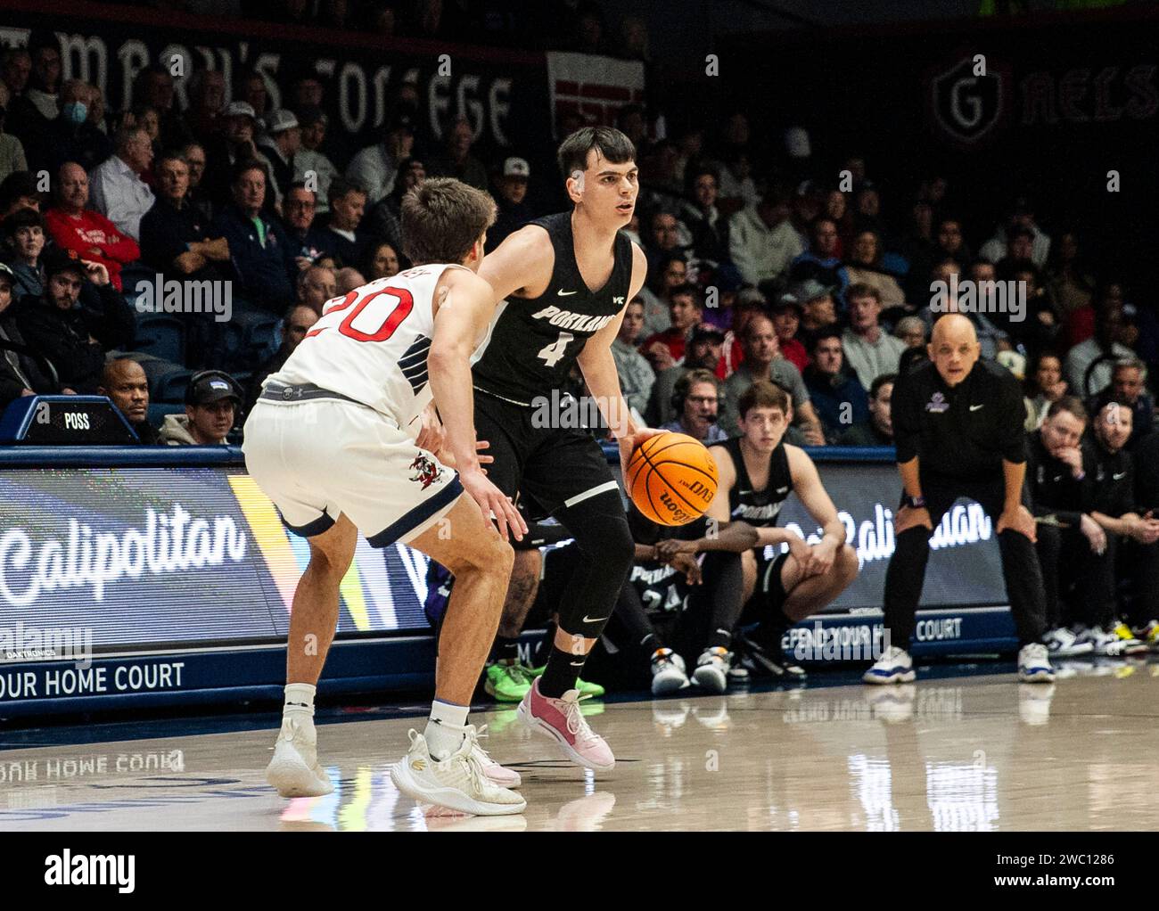 2024 0086 jpg hi-res stock photography and images - Alamy