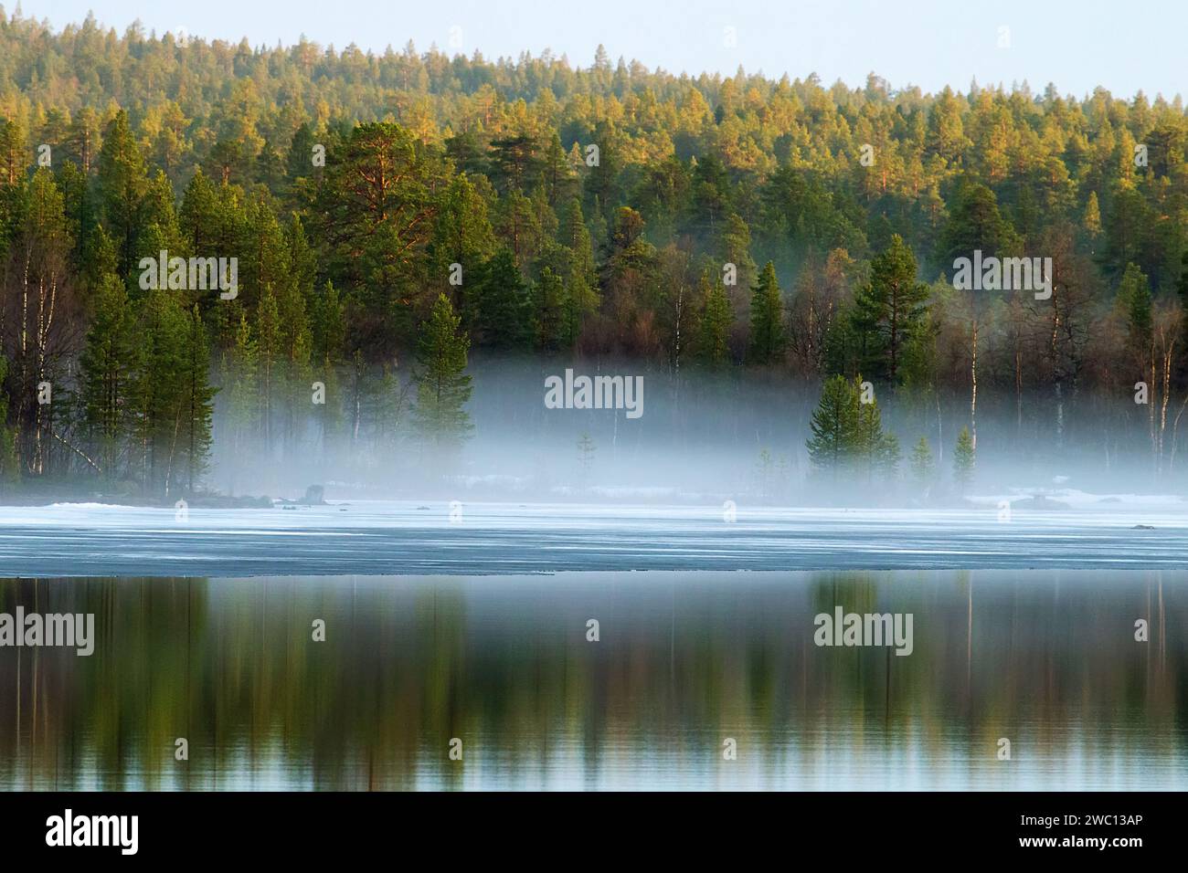 Water-surface, ground-level fog over the lake, ice and coniferous ...
