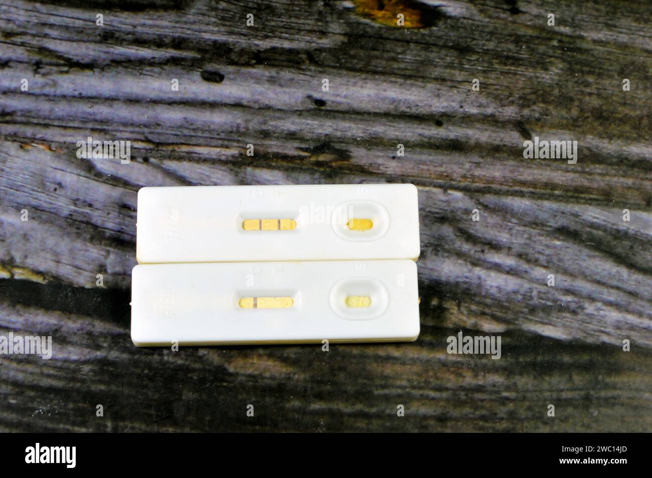 Rapid urine pregnancy test showing positive and negative results ...
