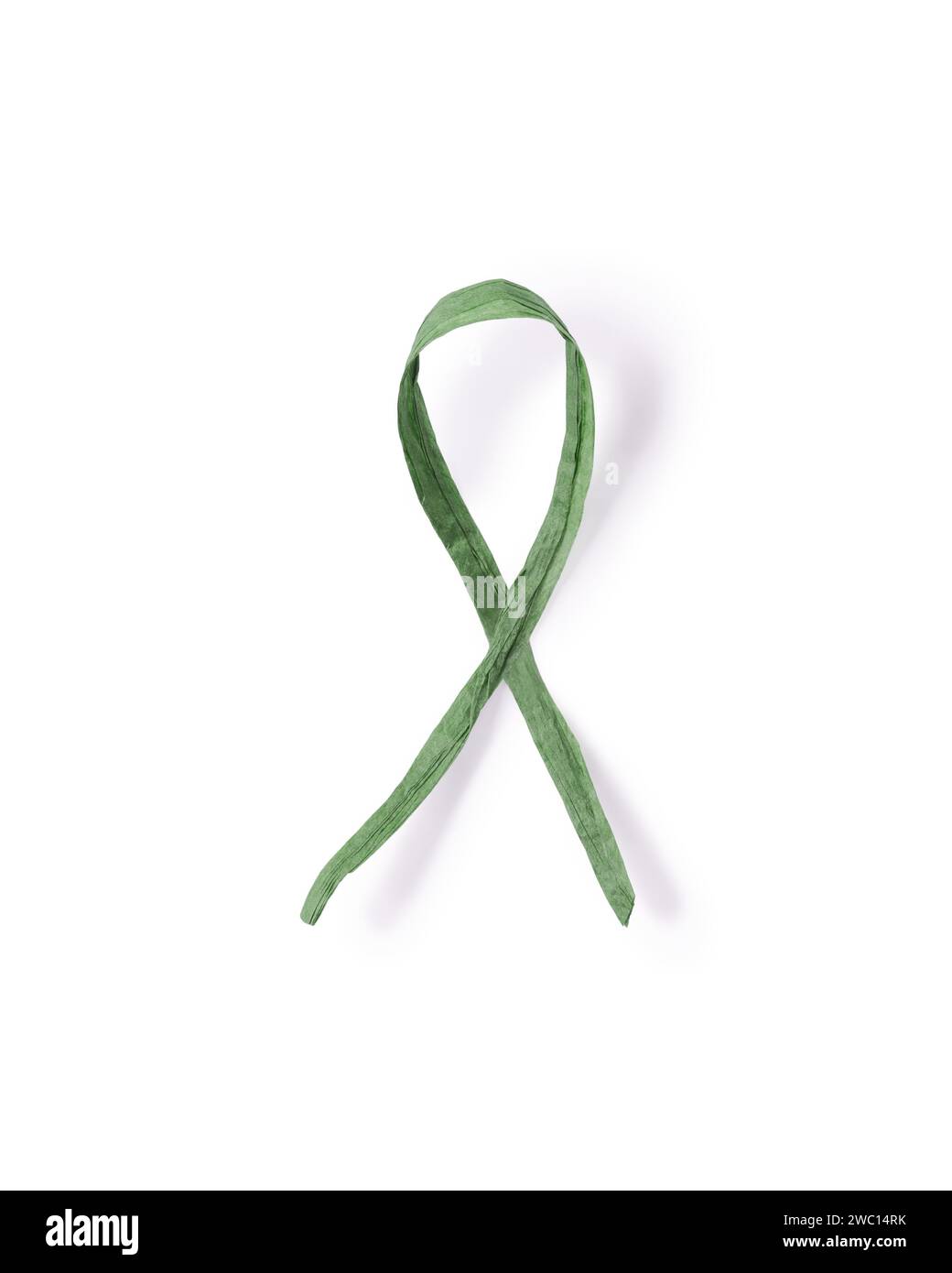 Green awareness ribbon isolated on white background, element Stock ...
