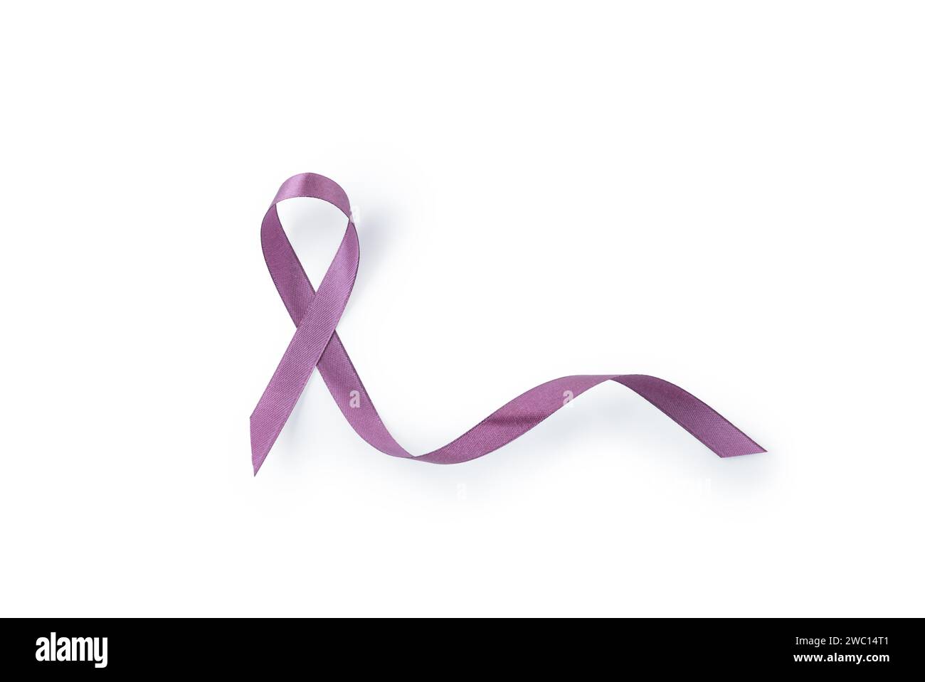Lavender awareness ribbon isolated on white background, element Stock ...