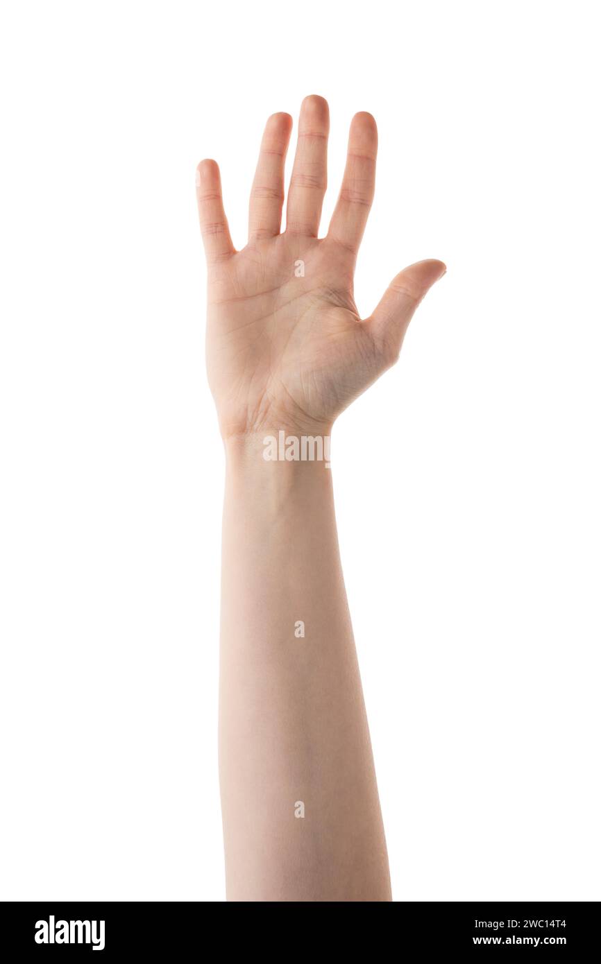 Young female hand inner side view straight isolated on white background ...