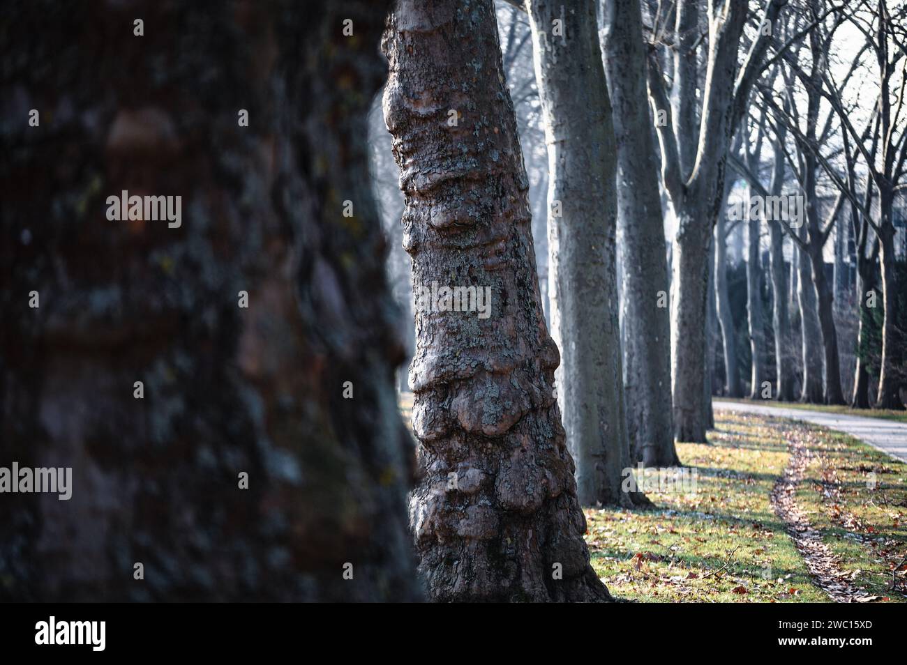 Central park stuttgart hi-res stock photography and images - Alamy