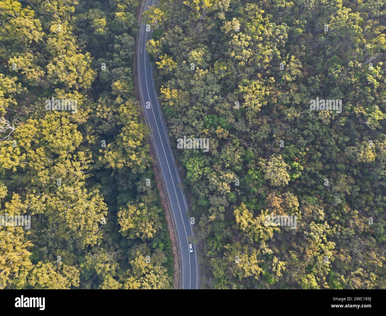 An aerial view of the Comenarra Parkway, Wahroonga, NSW, Australia ...