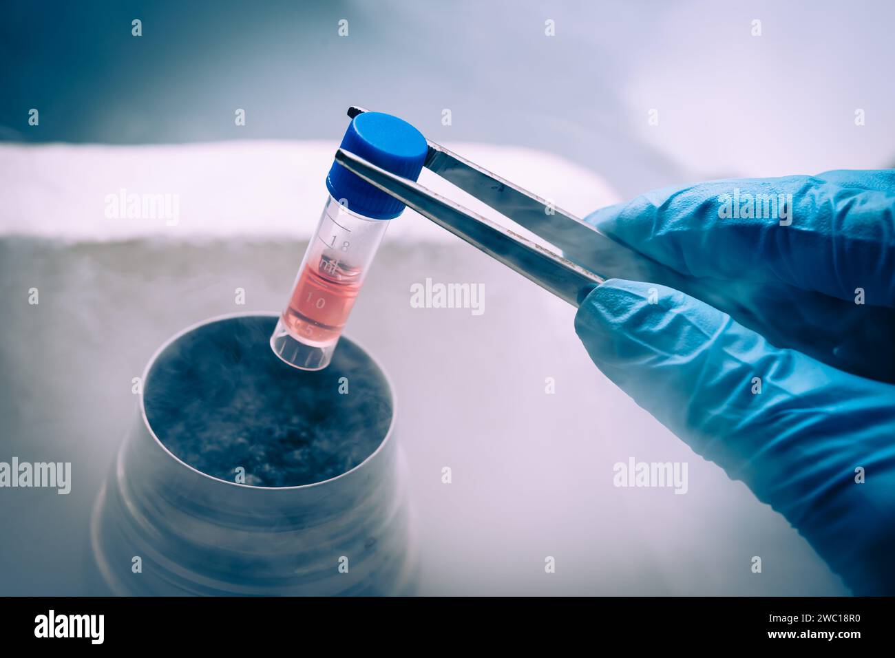 A Liquid Nitrogen bank containing suspension of stem cells. Cell ...