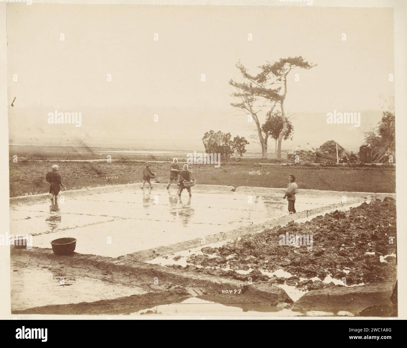 Farmers at work on rice fields in Japan, Anonymous, 1851 - 1890 ...