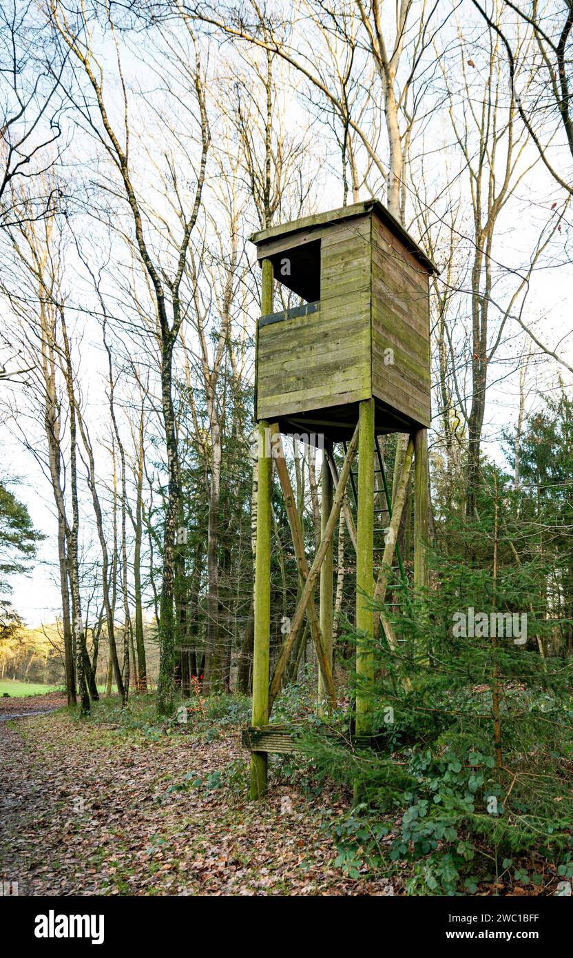 wooden lookout tower in a forest Stock Photo - Alamy