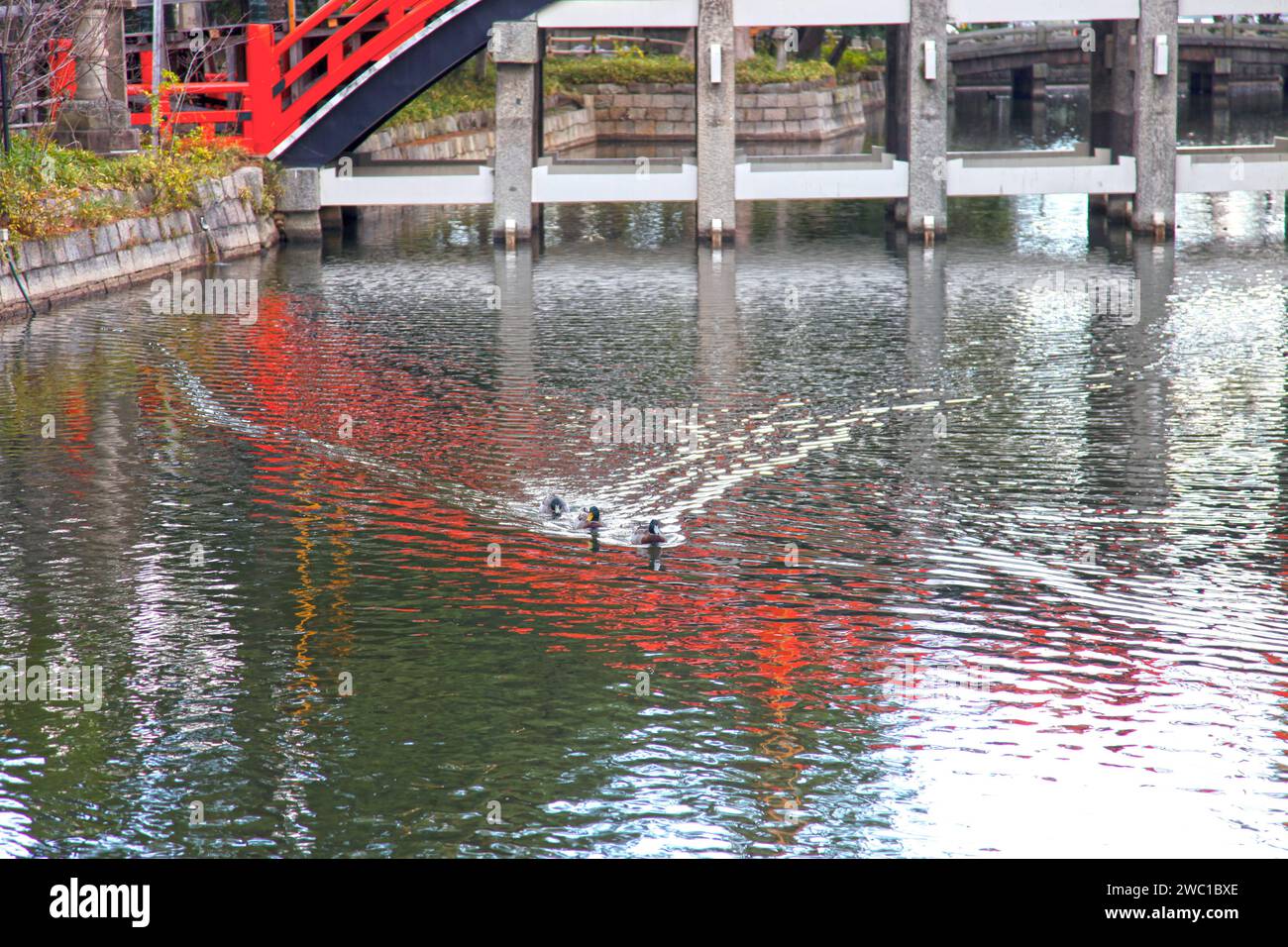 Arched Bridge to Sumiyoshi Taisha Grand Shrine in Osaka, Japan Stock ...
