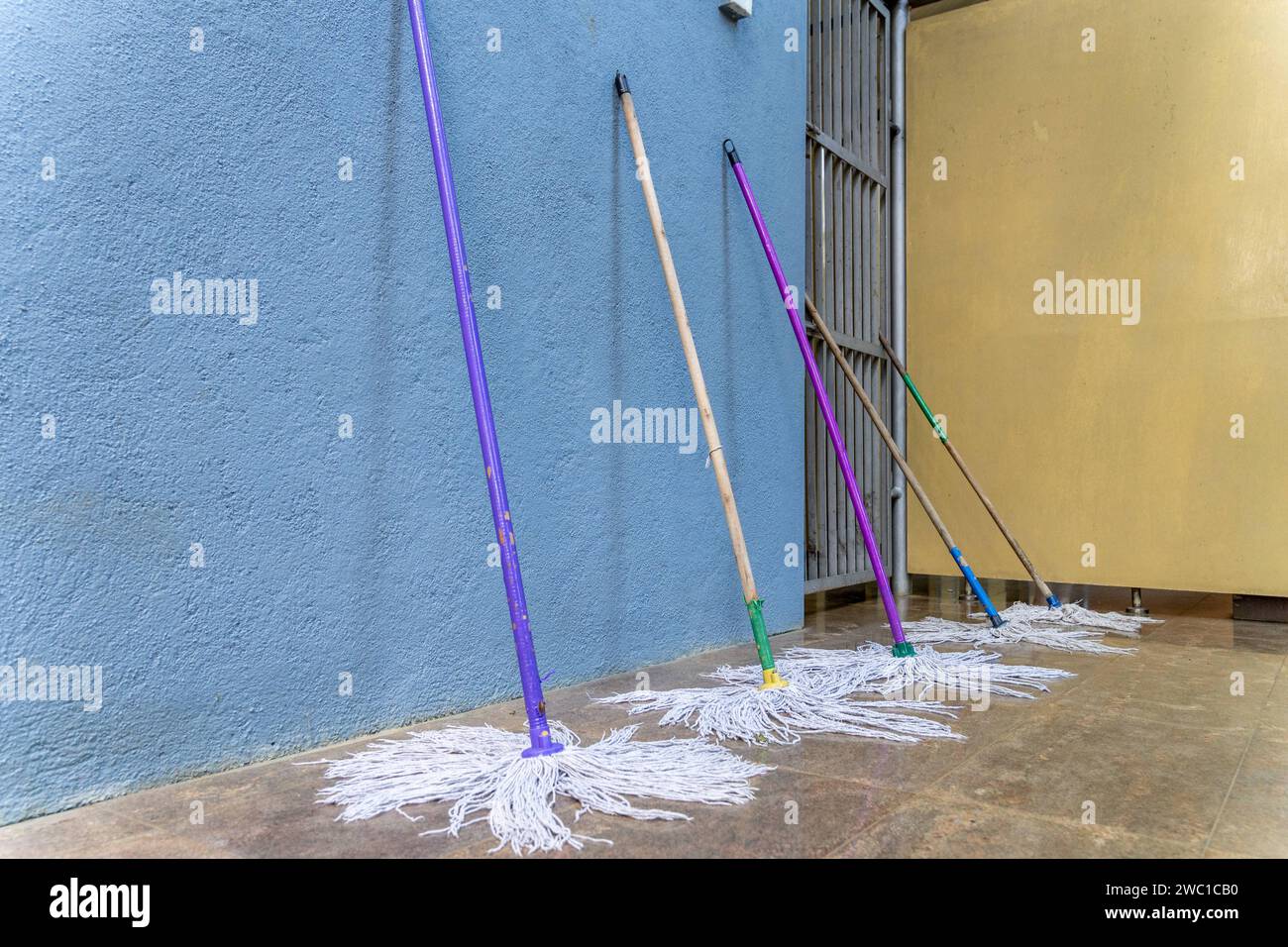 21 December 2023: several mops for cleaning leaning against a wall ...