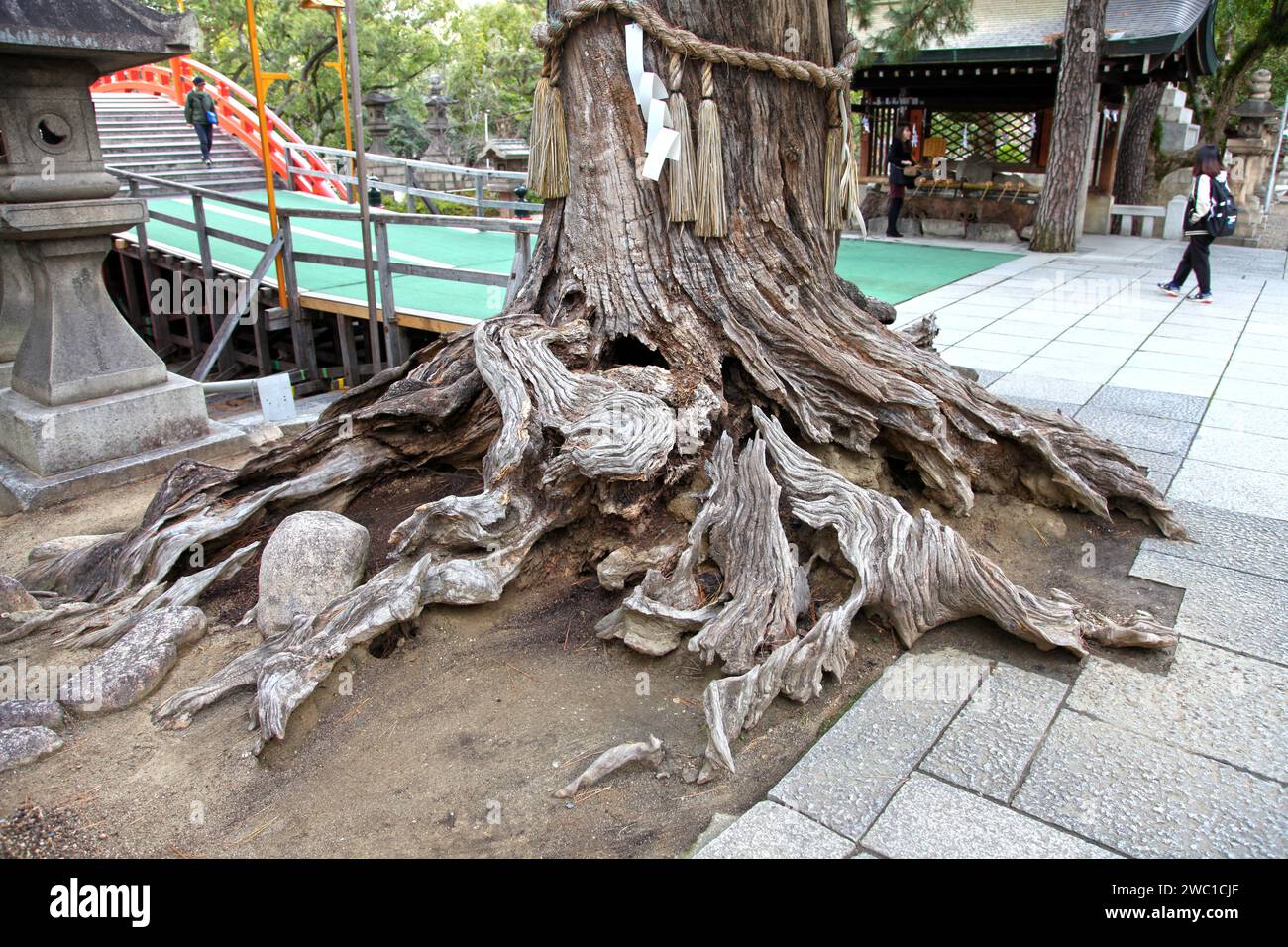 Sumiyoshi Taisha Grand Shrine in Osaka, Japan Stock Photo - Alamy