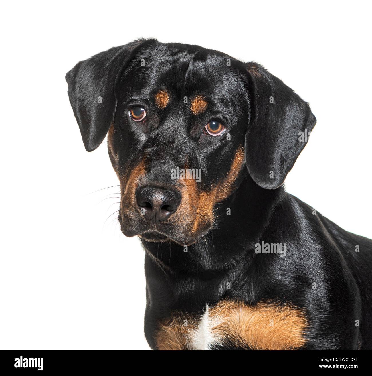 Crossed out head hi-res stock photography and images - Alamy