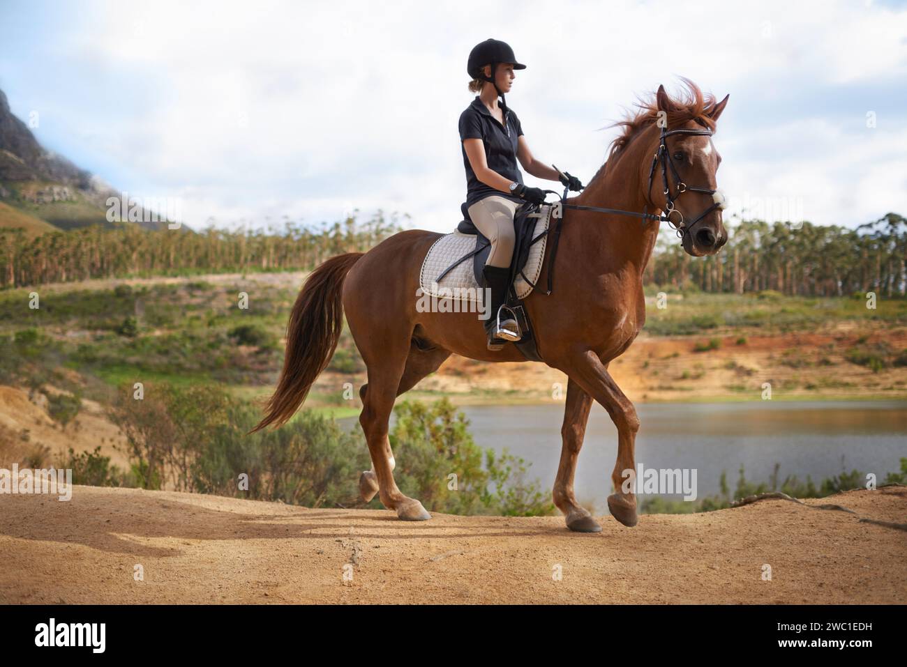 Equestrian, woman and riding a horse in nature on adventure and journey ...