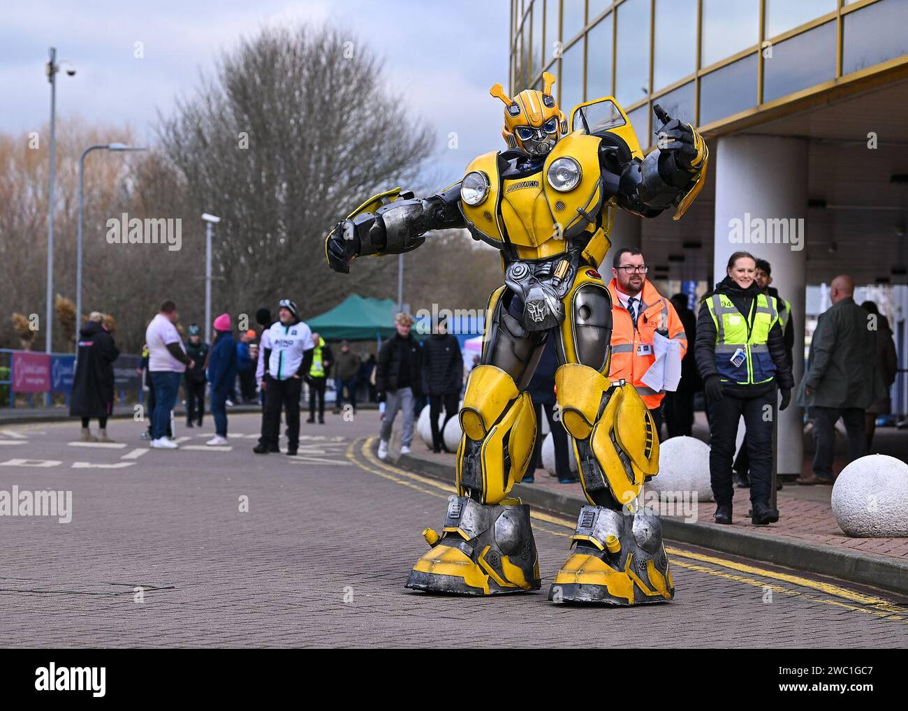 Bumble bee during the Sky Bet Championship match Huddersfield Town vs ...
