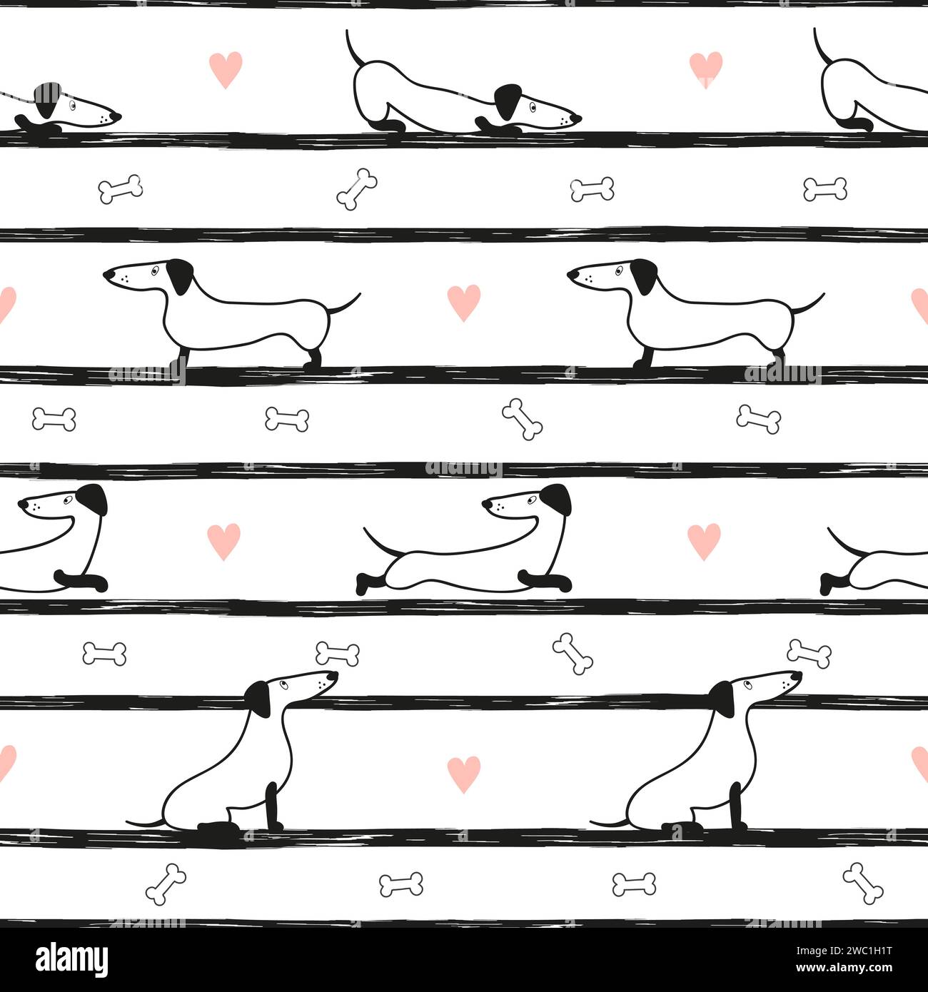 Seamless dog pattern with cute dachshunds and hearts. Vector striped ...