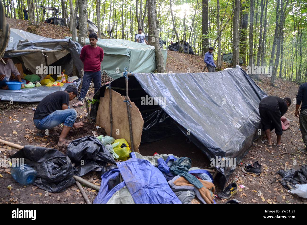 Hundreds of migrants living in terrible condition in forest. Refugees ...