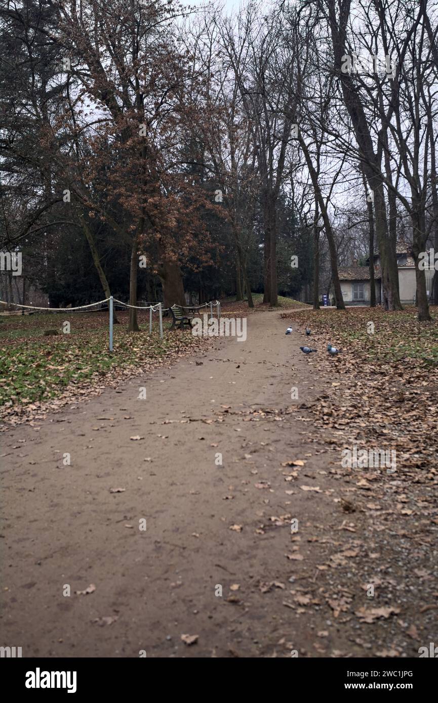 Dirt path with benches by its edge in a park in autumn Stock Photo - Alamy