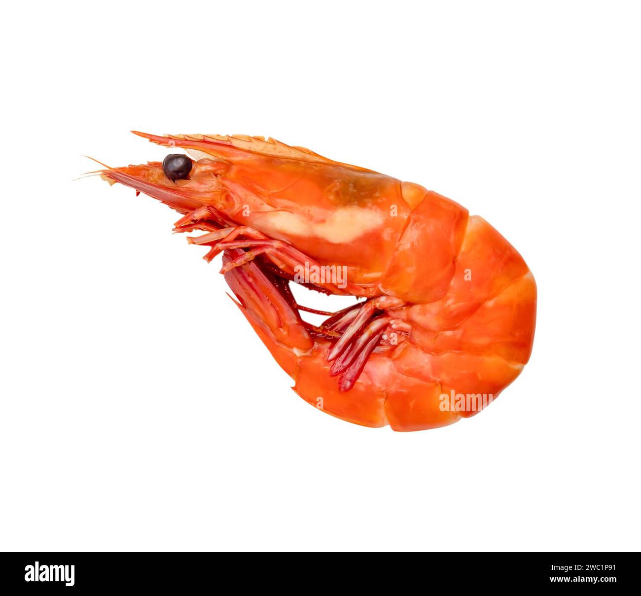 Single red cooked or steamed prawn or shrimp is isolated on white ...