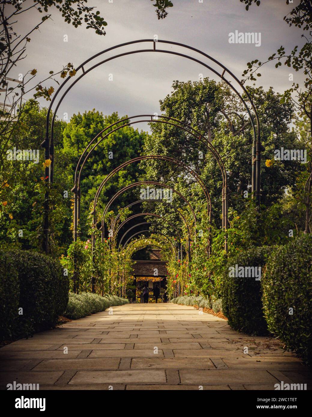 A Pathway that leads from one theme to another Stock Photo - Alamy