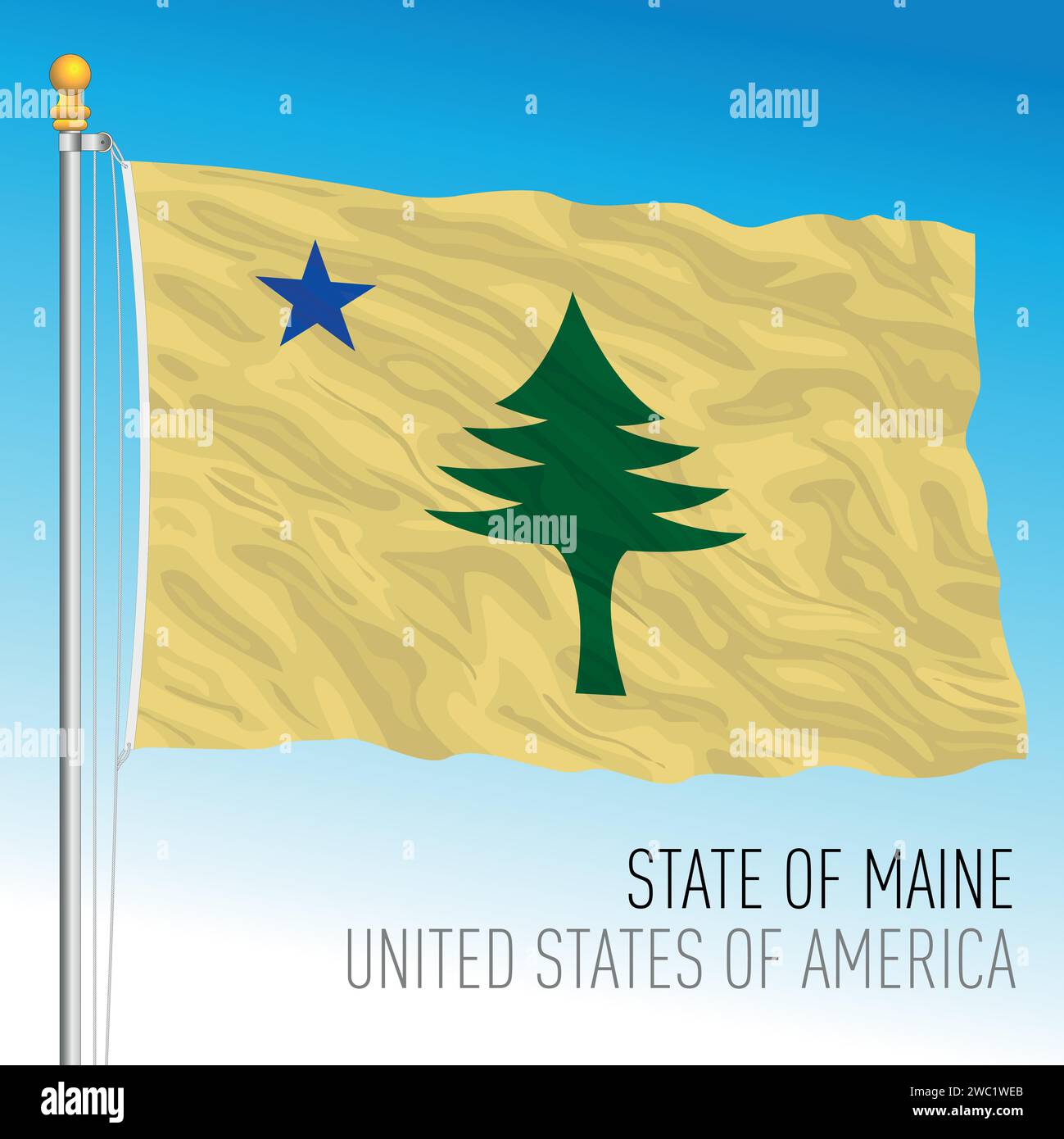 Maine federal state waving flag, new proposal, United States, vector ...