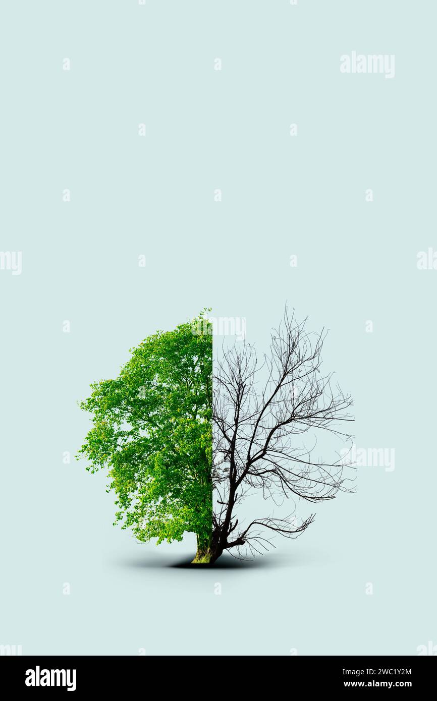 The concept image of ecology. Half alive and half dead tree ...