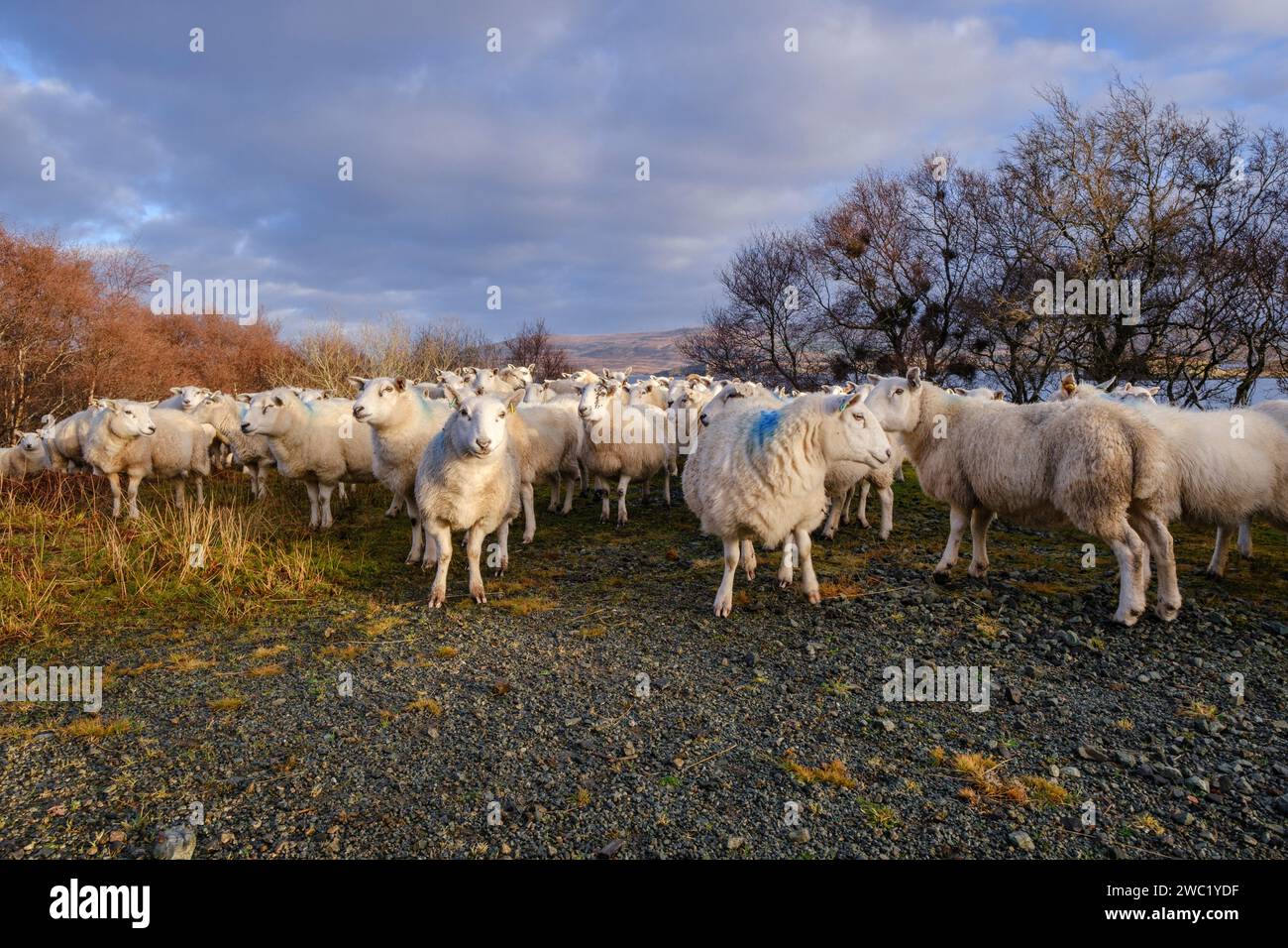 Sector primario hi-res stock photography and images - Alamy