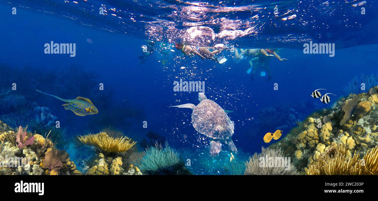 Colorful coral reef with many fishes and sea turtle. The people at ...