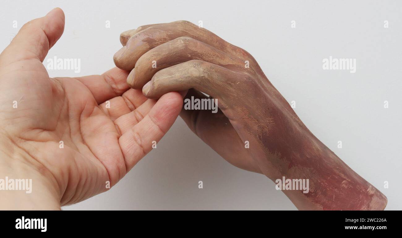A living hand touches an artificial wrist from a mannequin on a white ...