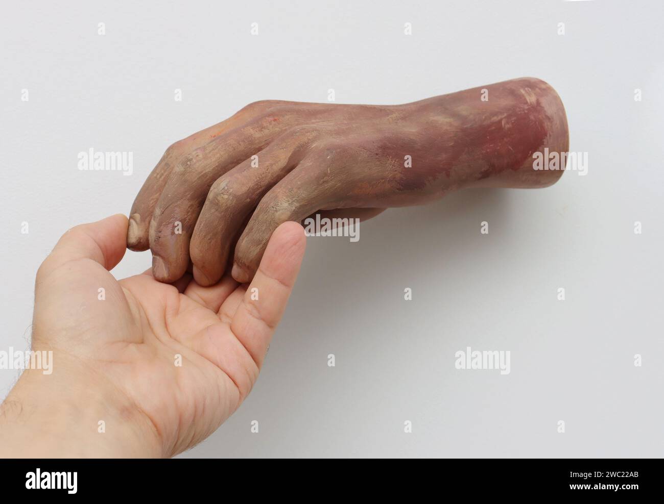 A man's hand takes an artificial hand by the fingers on a white ...