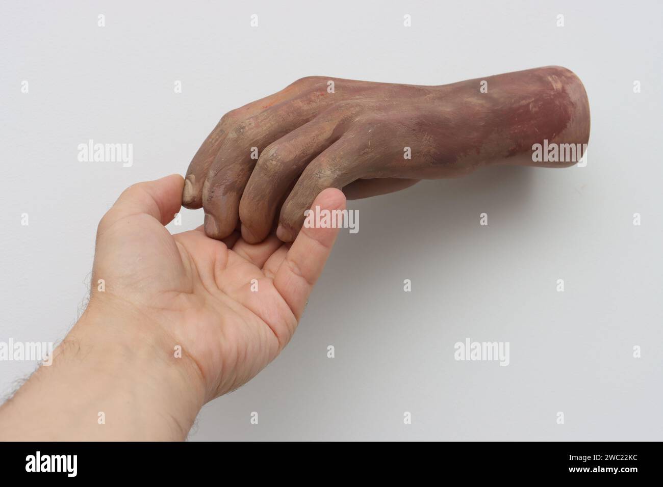 A man's hand holds an artificial plastic hand on a white background ...