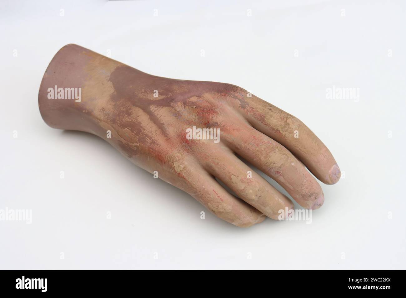 Anatomical mannequin hi-res stock photography and images - Alamy