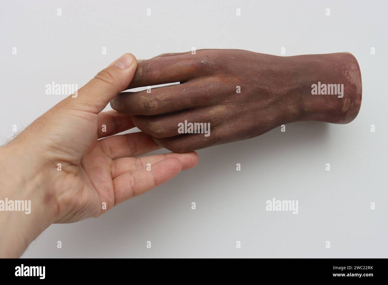 Artificial hand in a real hand on white background Stock Photo - Alamy