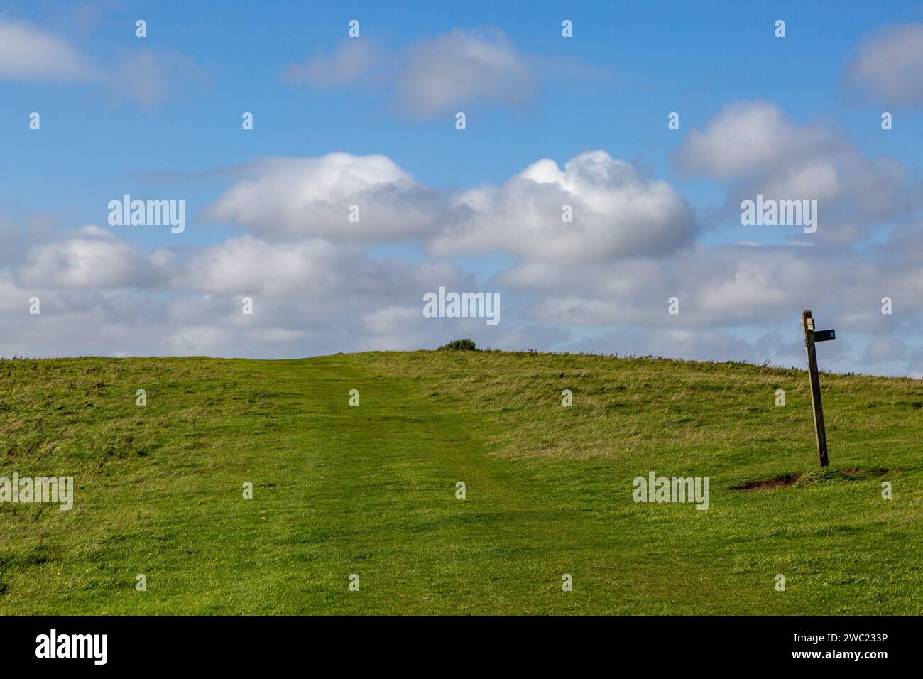 A grass pathway along the South Downs Way in Sussex, with a blue sky ...