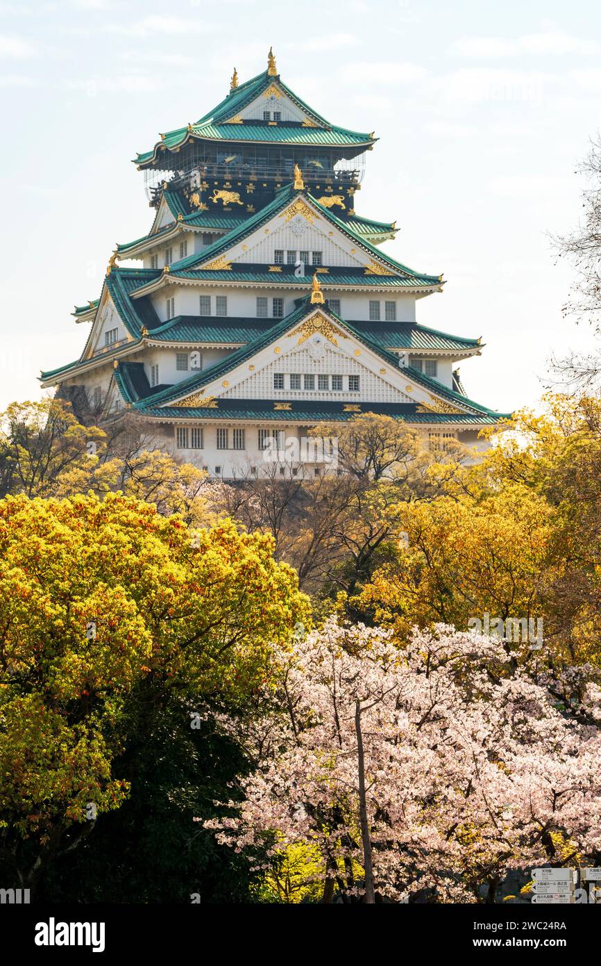 The borogata style keep of Osaka castle towering above back-lit green ...
