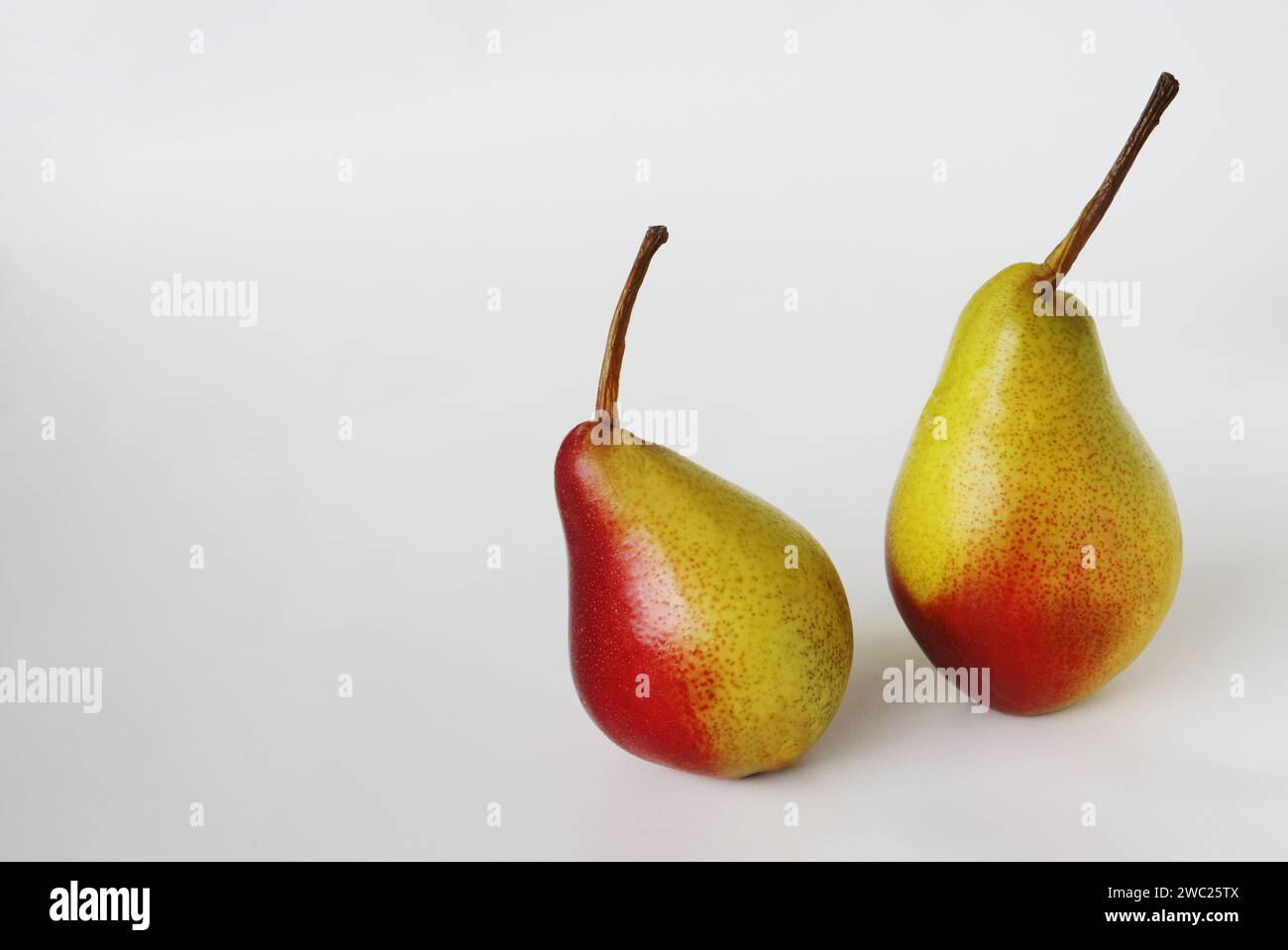 A pair of red-yellow juicy tasty pears on a white paper background ...