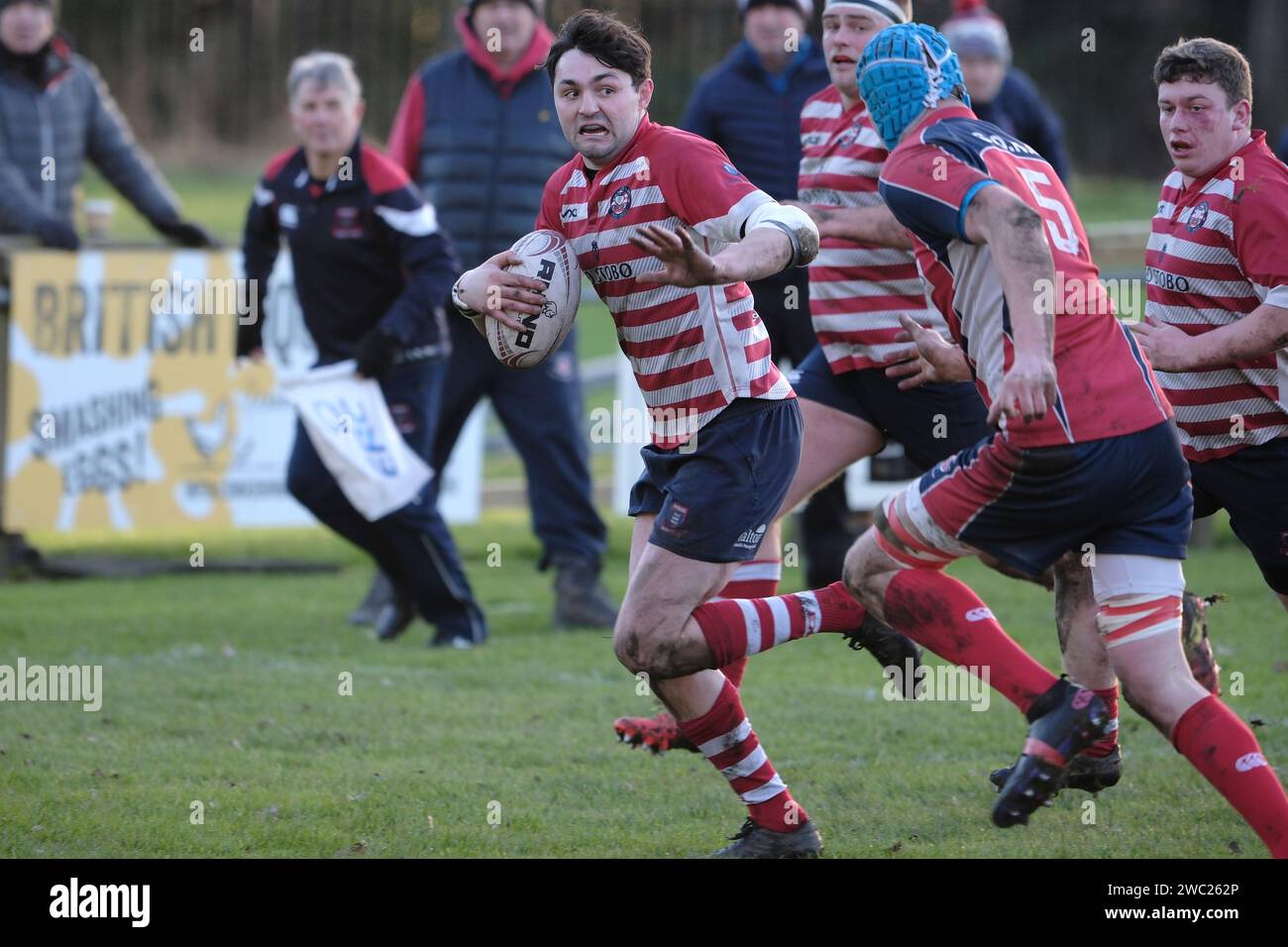 Scottish national rugby union hi-res stock photography and images - Alamy