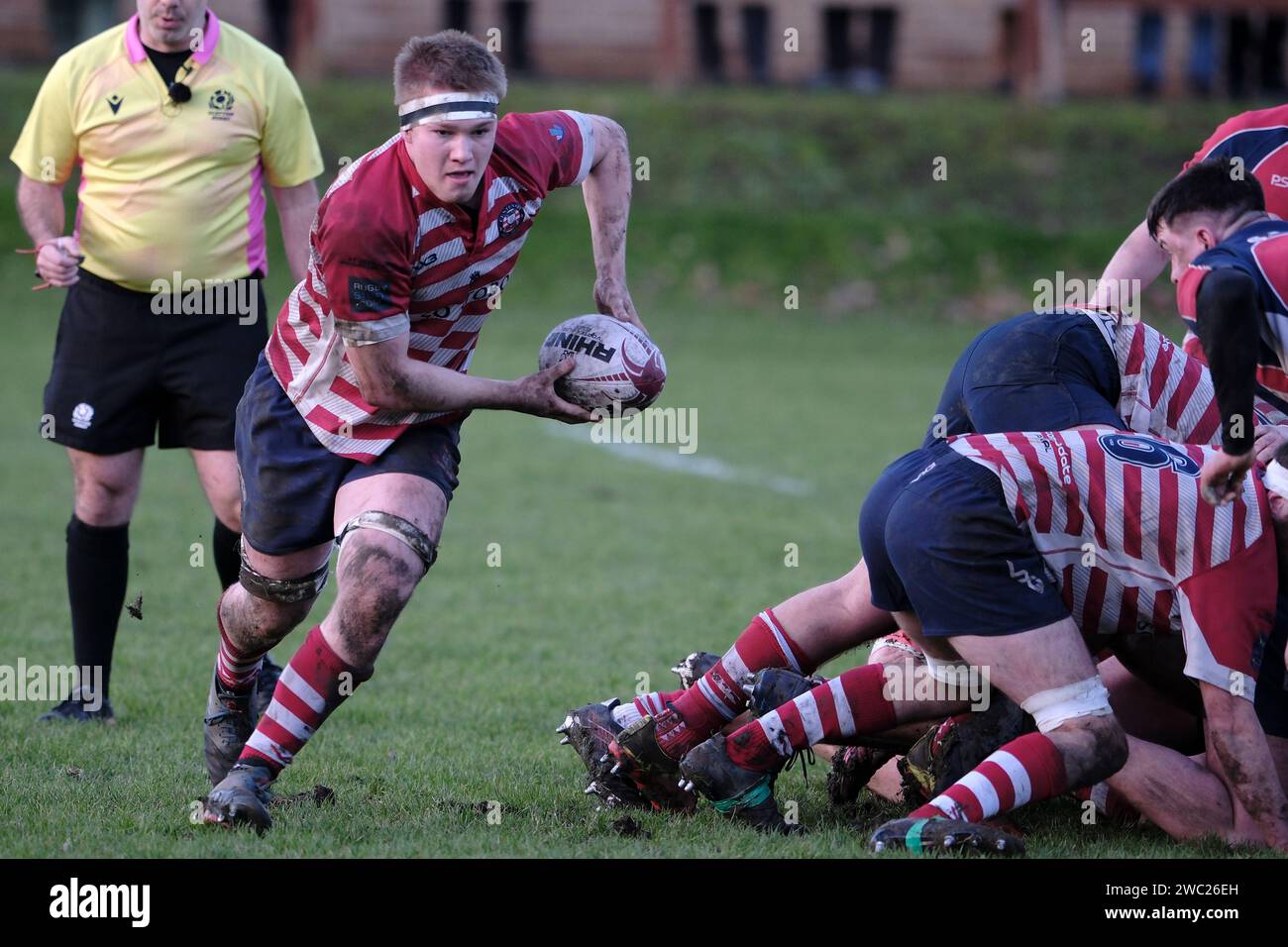 Newton stewart rfc hi-res stock photography and images - Alamy