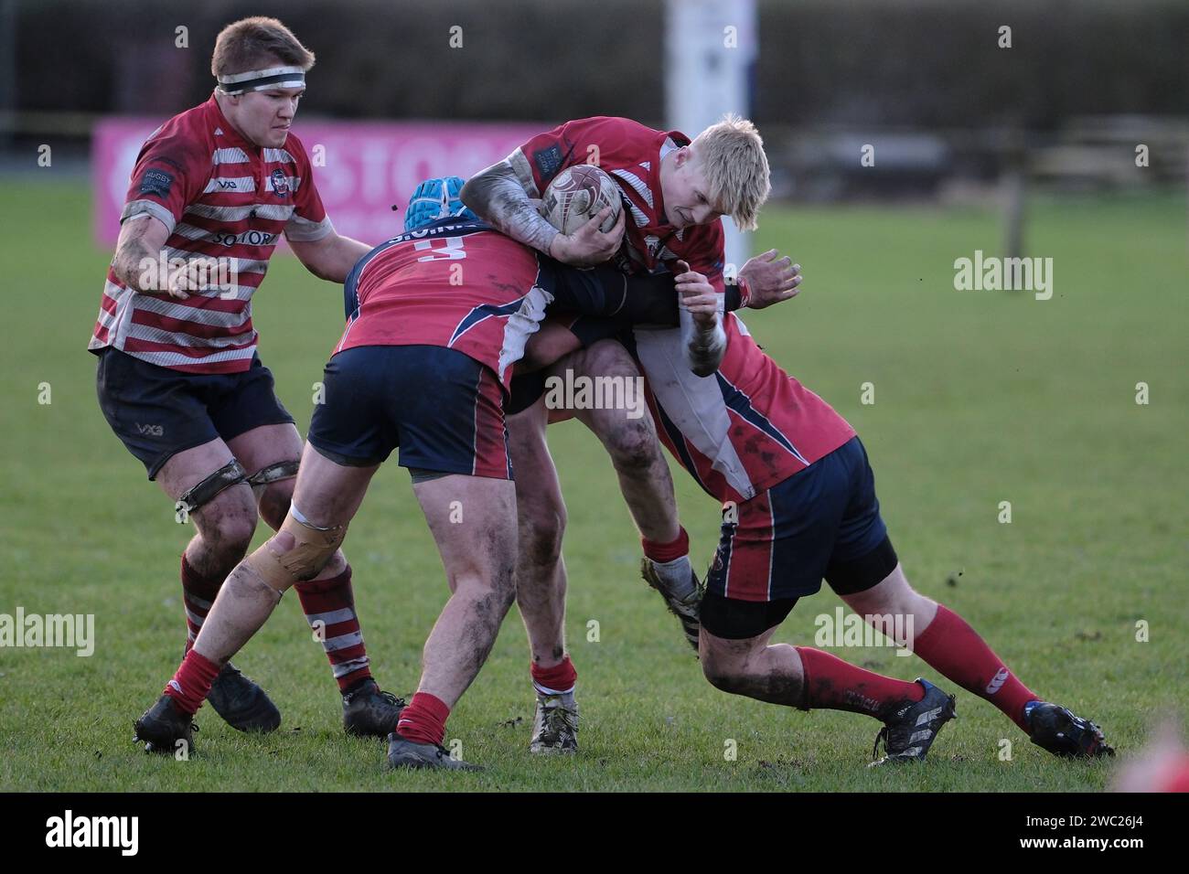 Scottish national rugby union hi-res stock photography and images - Alamy