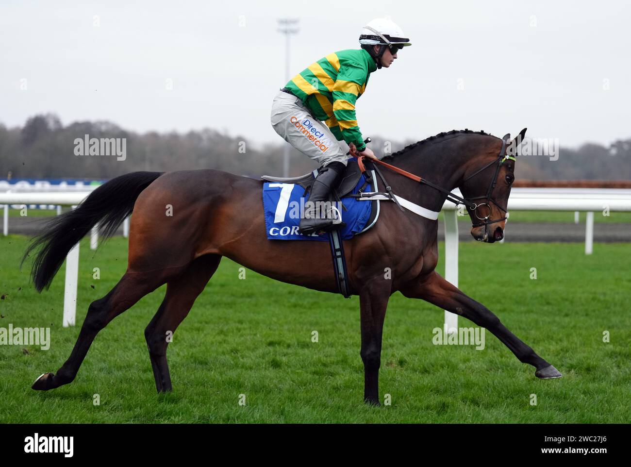 Impose toi horse hi-res stock photography and images - Alamy