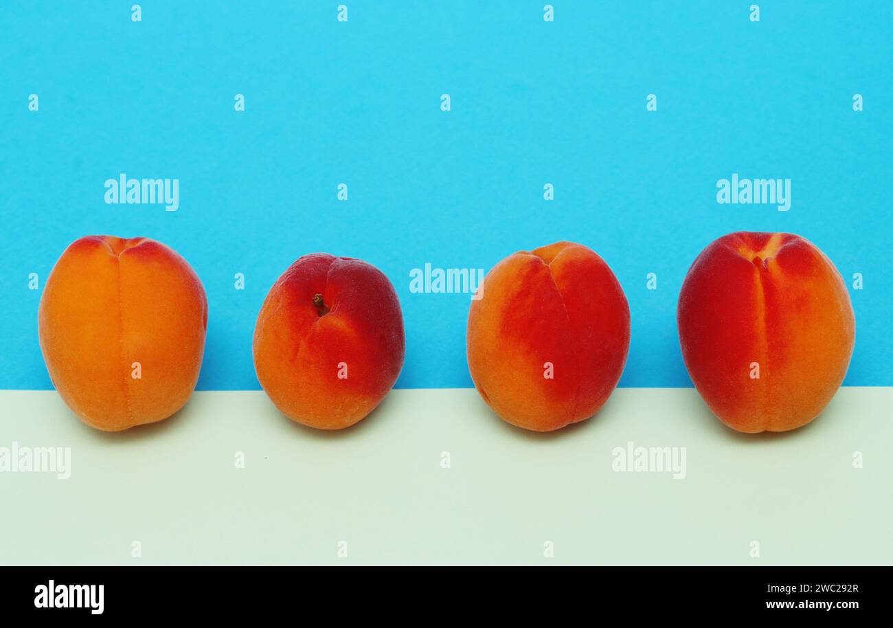 Four apricots on a blue and white double paper background Stock Photo ...
