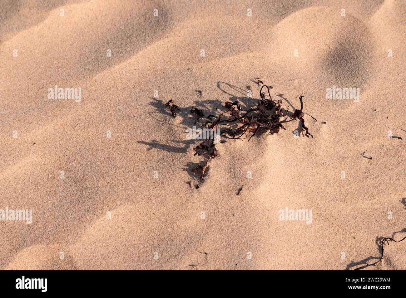 Pollan strand wild atlantic way hi-res stock photography and images - Alamy