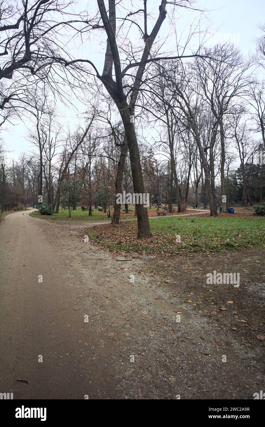 Crossroads between gravel paths in the middle of a park in autumn Stock ...