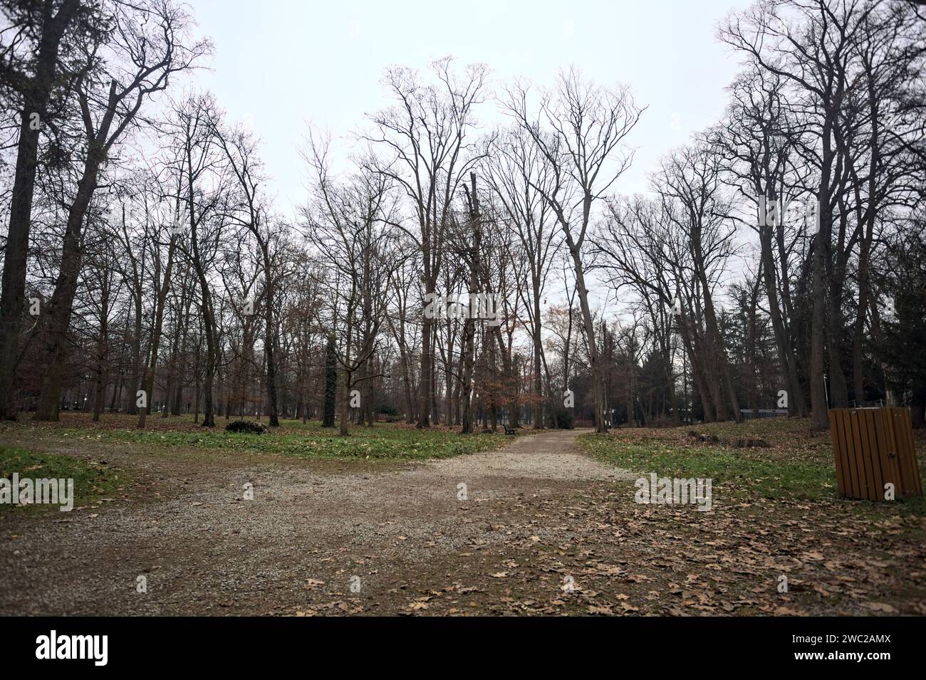Crossroads in forest gravel hi-res stock photography and images - Alamy