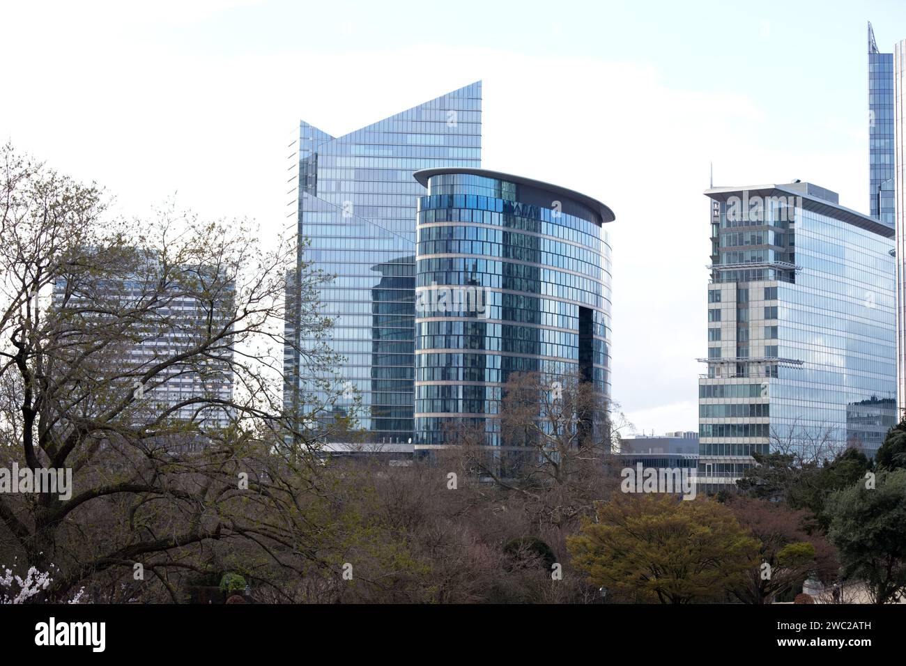 Contrast of Nature and Urban Skyline Stock Photo - Alamy