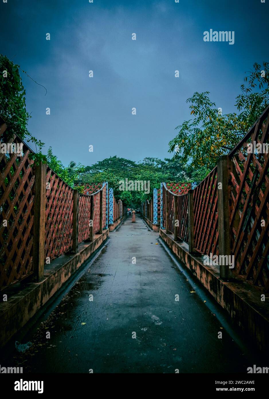 Bridge with natural backdrop hi-res stock photography and images - Alamy