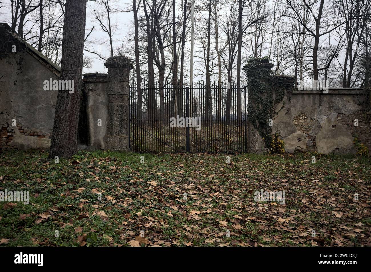 Gate in the boundary wall of a park in autumn Stock Photo - Alamy