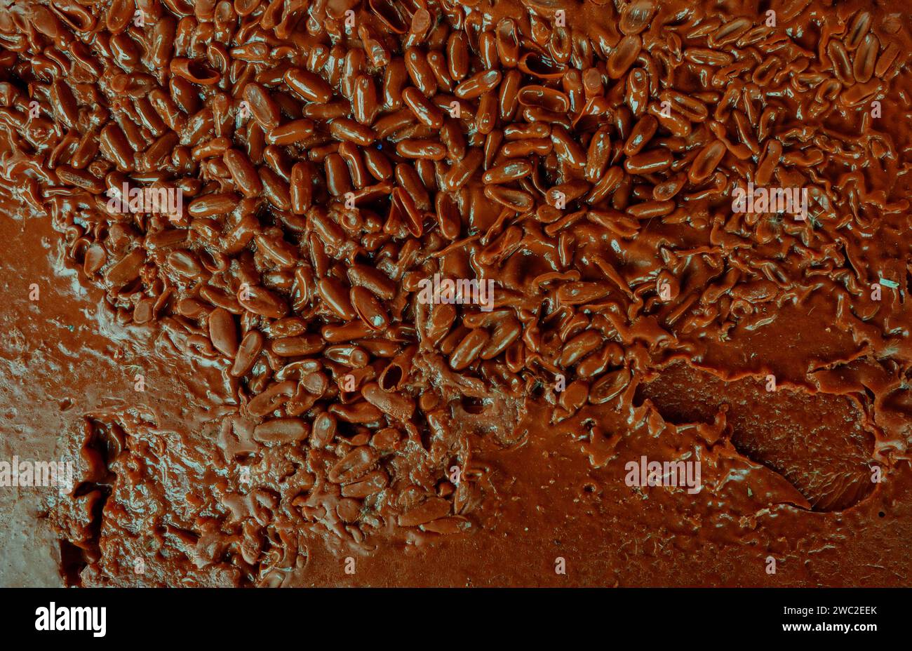 Waste encapsulation hi-res stock photography and images - Alamy