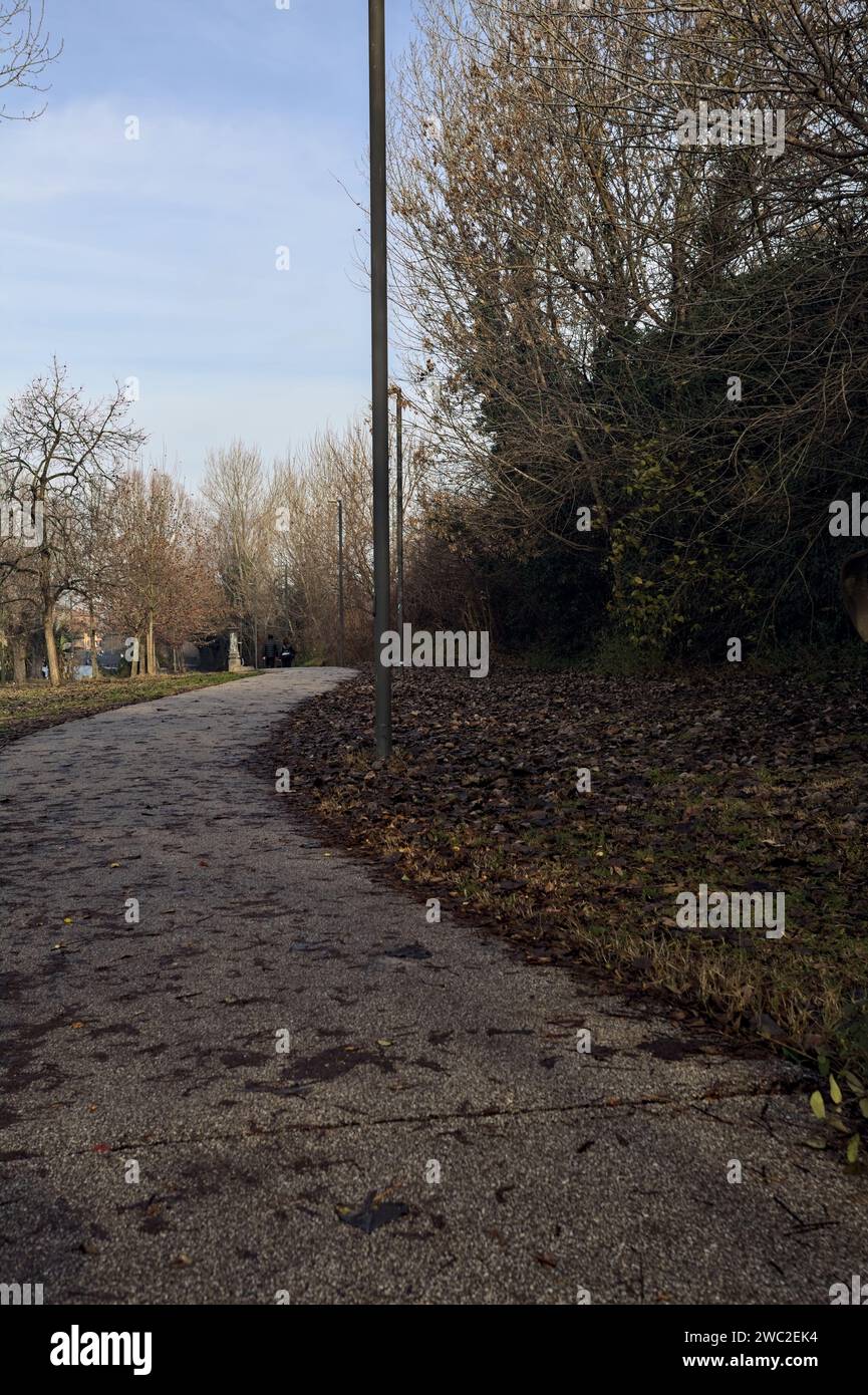 Path with a street lamp in a park by the lakeshore Stock Photo - Alamy