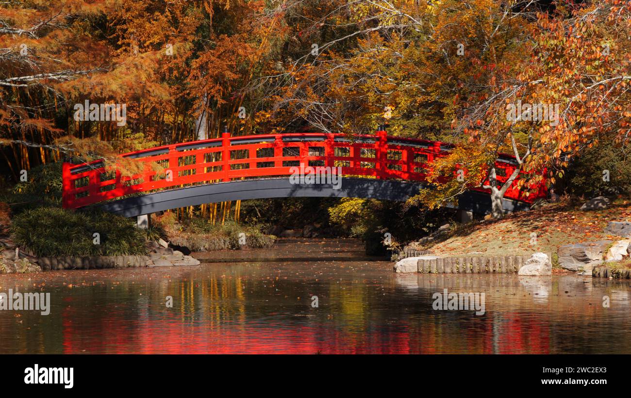 A red bridge over a pond leads to a Japanese garden at Duke University ...
